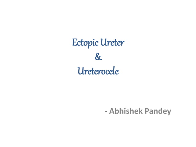 Ectopic ureter and ureterocele - Embryology and Presentation | PPTX