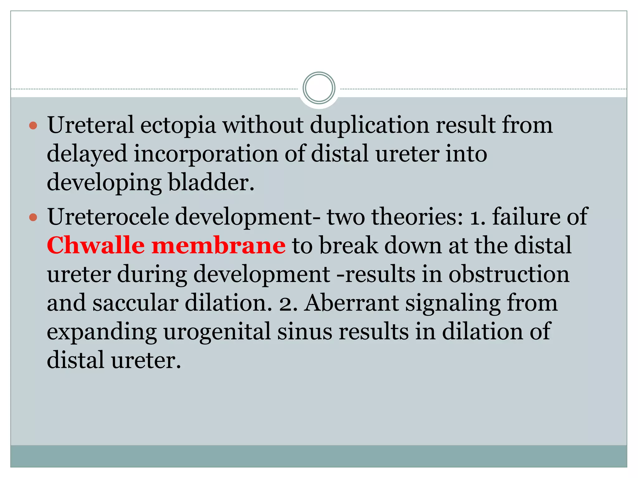 Ectopic ureter & ureterocoele | PPTX
