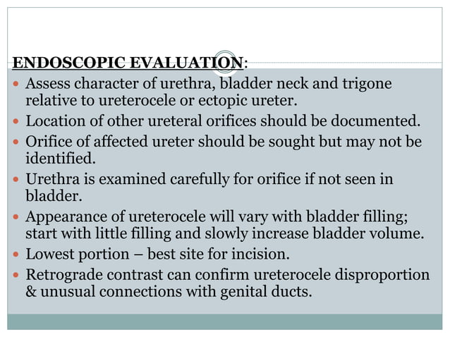 Ectopic ureter & ureterocoele | PPTX