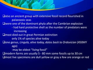 The Lophophorate Phyla - Ectoprocta, Brachiopoda, Phoronida | PPTX