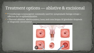 ectropion of cervix and erosion of cervix.pptx