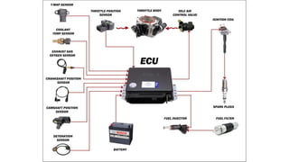 ECU ... Engine Control Unit .. Inputs & Outputs _ Explained | PDF