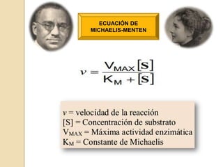 Ecuacionmichaelismenten | PPTX