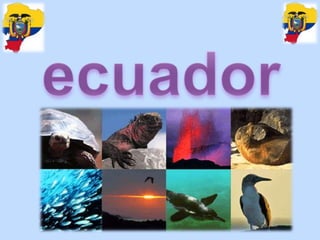 Ecuador | PPTX