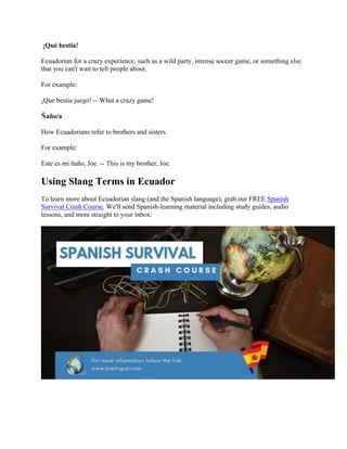 Ecuadorian Slang Terms | PDF