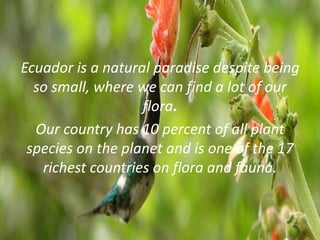 Ecuador natural regions biodiversity 27 nov | PPTX