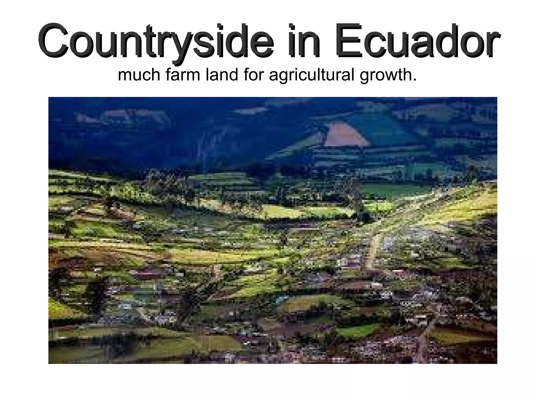 Ecuador ppt | PPT