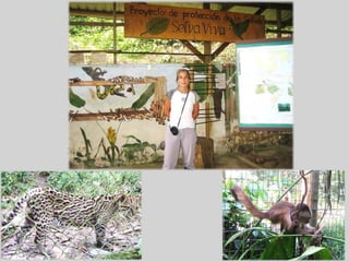 Ecuador.Pptx Linkedin Version | PPT