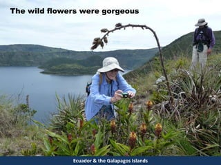 Ecuador & the Galapagos Islands | PPT | Free Download