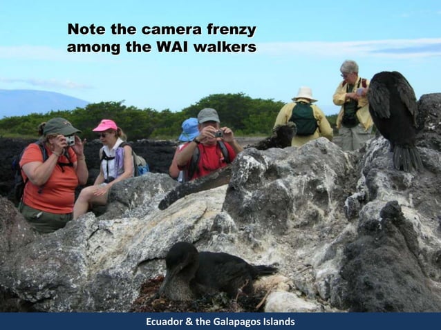 Ecuador & the Galapagos Islands | PPT