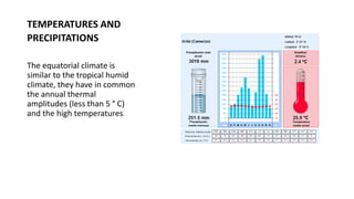 Ecuatorial climate | PPTX | Geography | Science