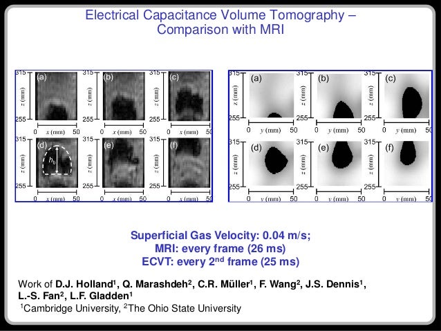 Electrical Capacitance Volume Tomography
