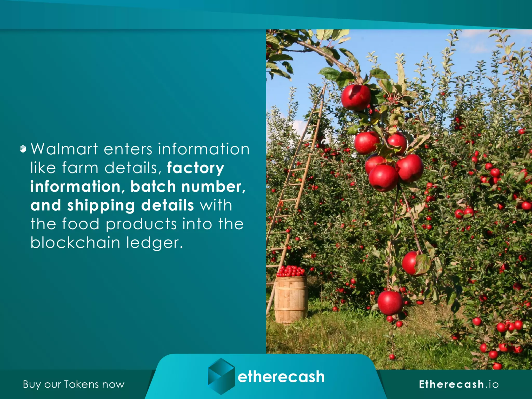 Walmart Developing Blockchain Technology for Food Safety | PDF