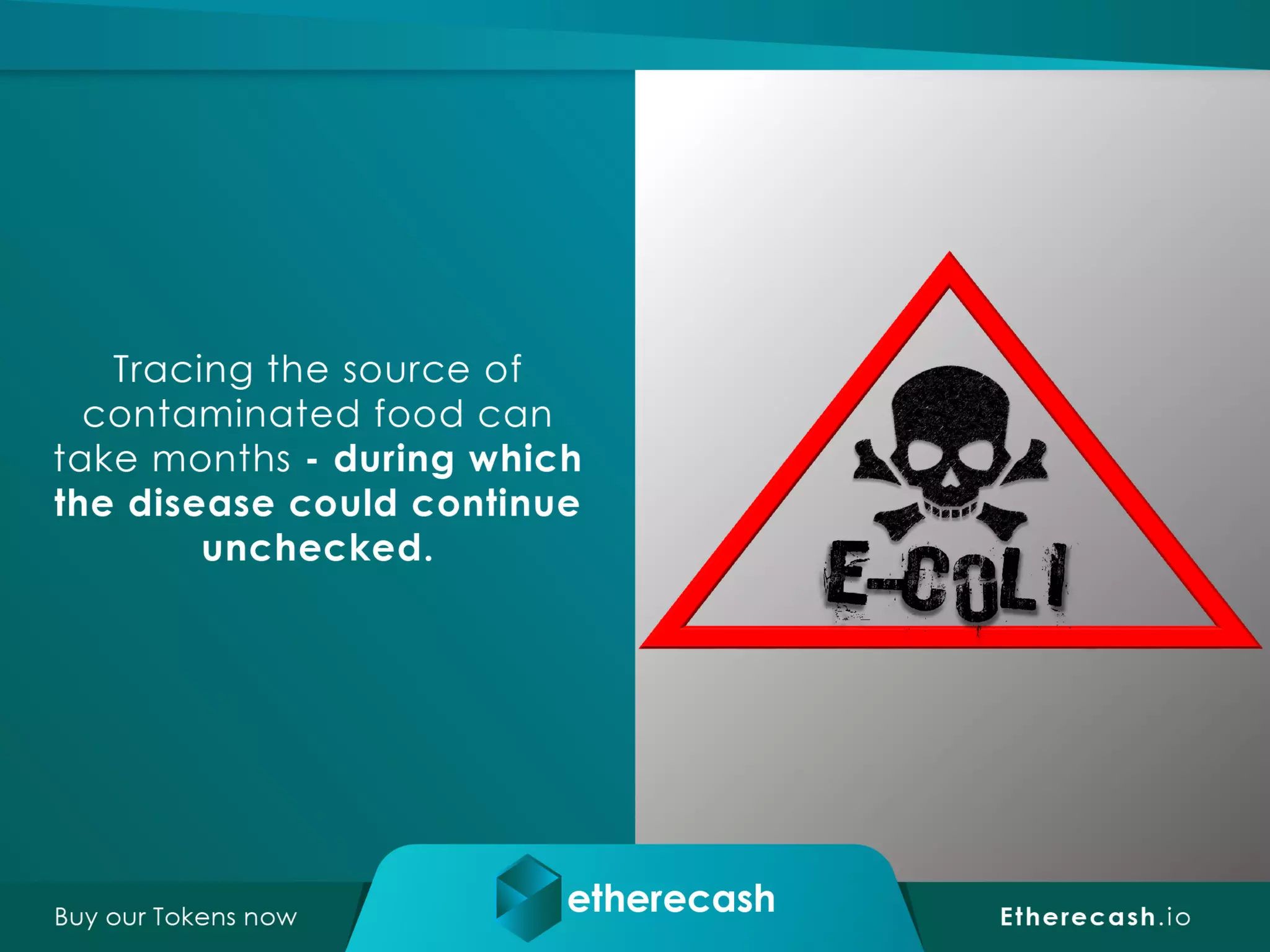 Walmart Developing Blockchain Technology for Food Safety | PDF