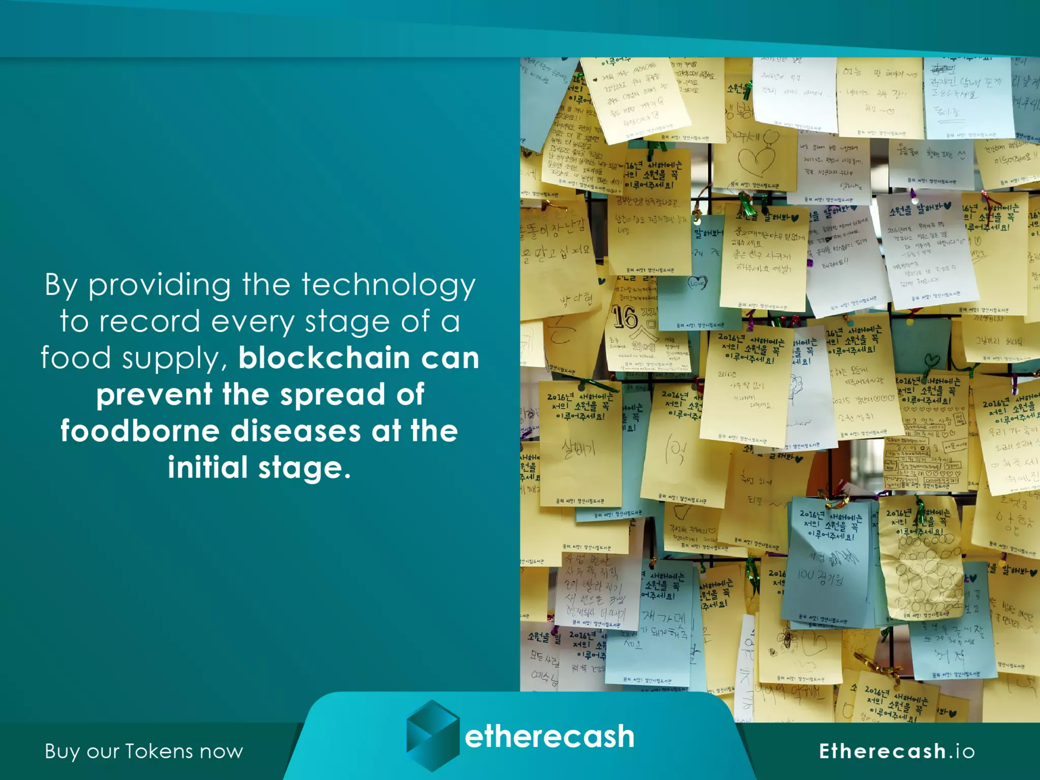 Walmart Developing Blockchain Technology for Food Safety | PDF