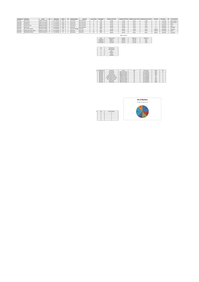 Ecxel lab task | PDF