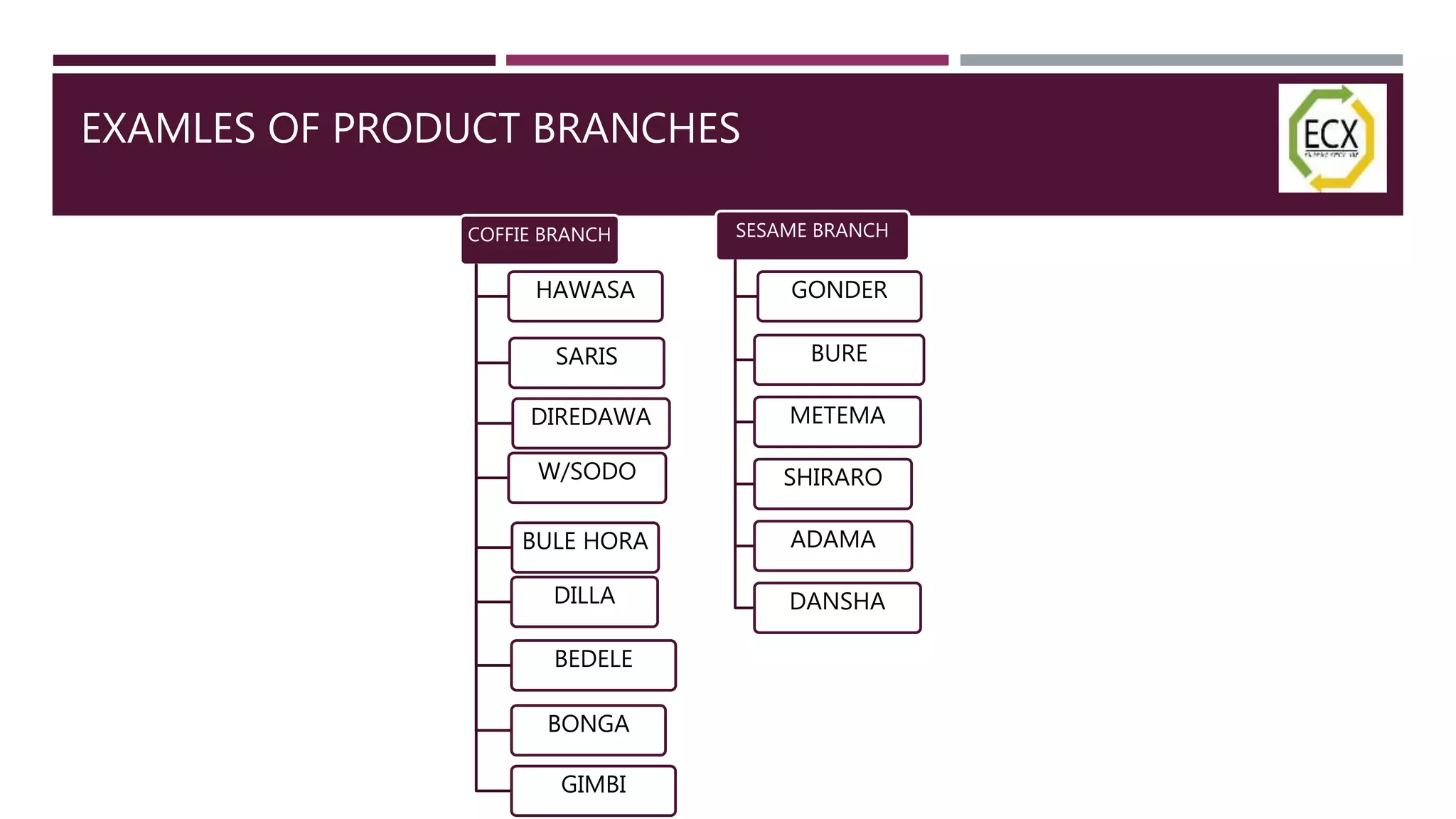 Ethiopian Commodity Exchange | PPTX