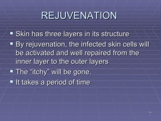 Eczema And Ginseng | PPT