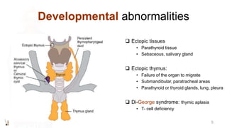 ~Thymus.&.Tonsils.Comprehensive.Histology.Jun.2022