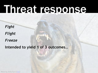 Ed Batista, Interpersonal Dynamics (aka Touchy Feely) @StanfordBiz ...