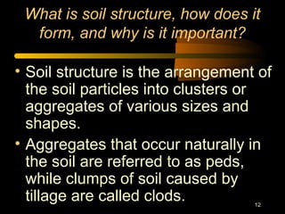 Soil Texture and Structure | PPT