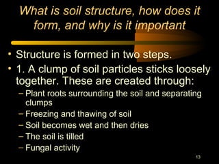 Soil Texture and Structure | PPT