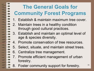 Urban Forestry Afghanistan | PPT