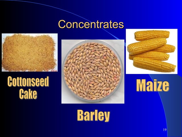 Nutritional Needs of Livestock Animals | PPT