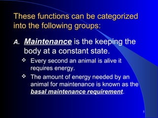 Nutritional Needs of Livestock Animals | PPT