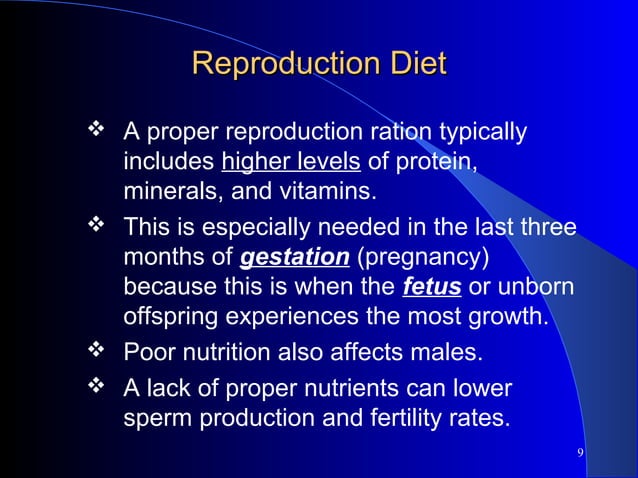 Nutritional Needs of Livestock Animals | PPT