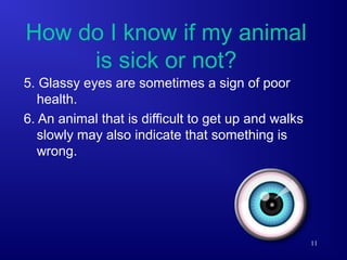 Managing Disease and Paracites of Livestock | PPT