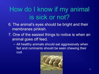 Managing Disease and Paracites of Livestock | PPT
