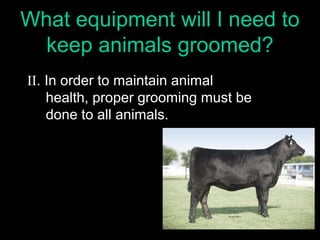 Maintain Good Animal Health | PPT