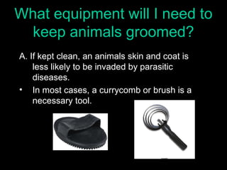Maintain Good Animal Health | PPT