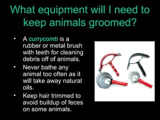 Maintain Good Animal Health | PPT | Pet Supplies | Pets