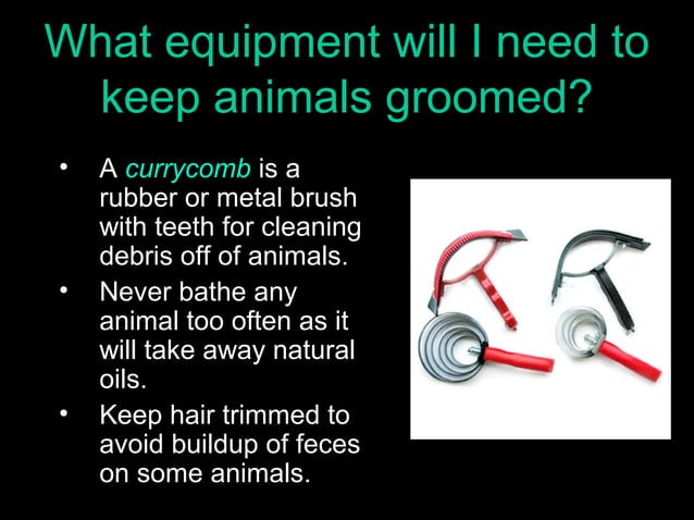 Maintain Good Animal Health | PPT