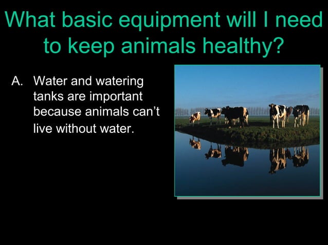 Maintain Good Animal Health | PPT