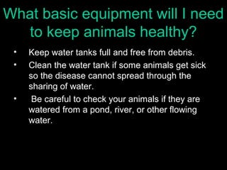 Maintain Good Animal Health | PPT