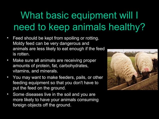 Maintain Good Animal Health | PPT | Pet Supplies | Pets
