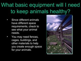 Maintain Good Animal Health | PPT | Pet Supplies | Pets