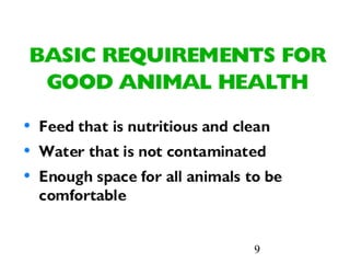 Maintain Good Animal Health | PPT | Pet Supplies | Pets