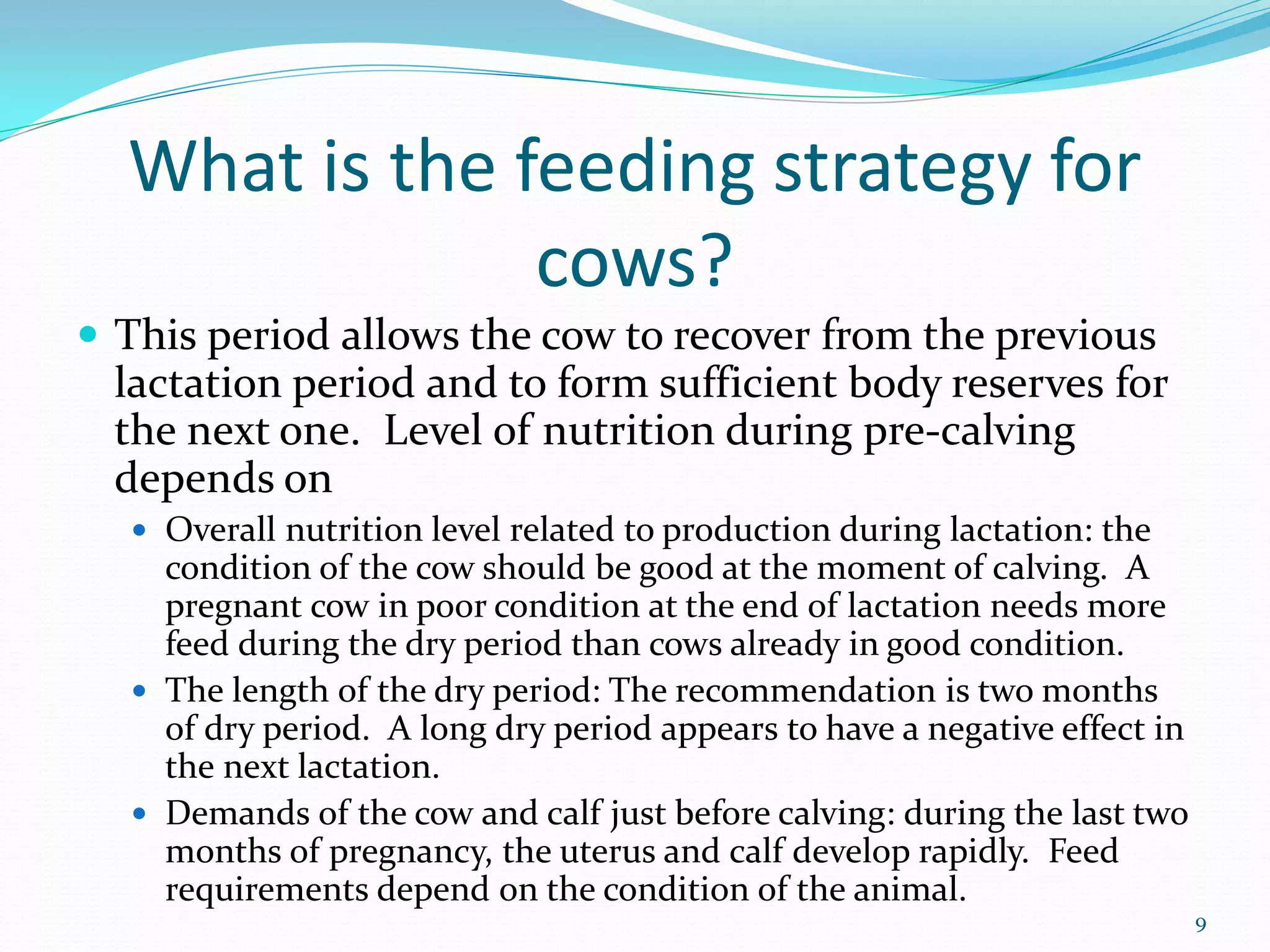 Cattle Feeding Practices | PDF