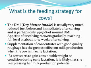 Cattle Feeding Practices | PDF