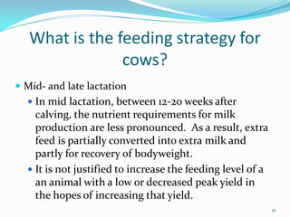 Cattle Feeding Practices | PDF
