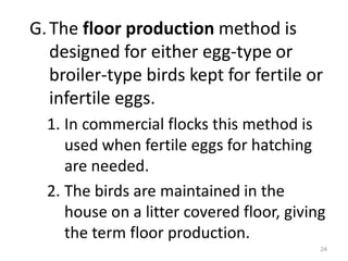 Producing Layers_ Chicken Production Afghanistan | PDF | Birds | Pets