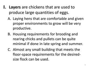 Producing Layers_ Chicken Production Afghanistan | PDF | Birds | Pets