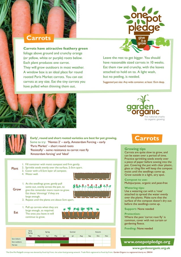 Carrots - Organic Growing Guides for Teachers + Students | PDF