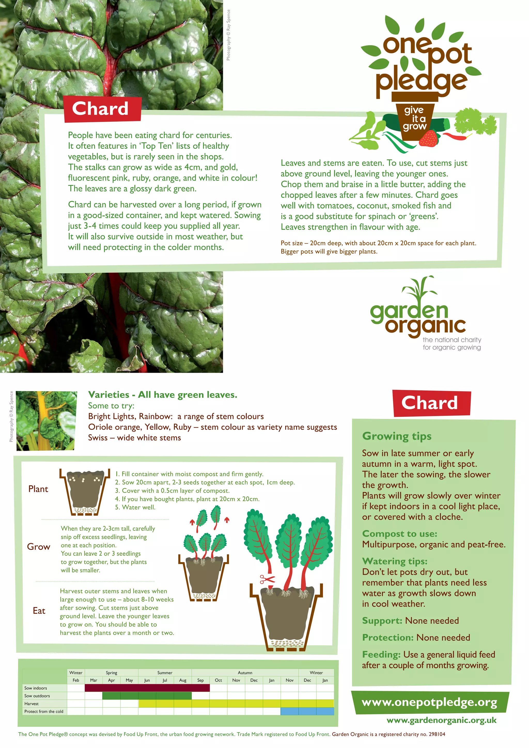 Chard - Organic Growing Guides for Teachers + Students | PDF