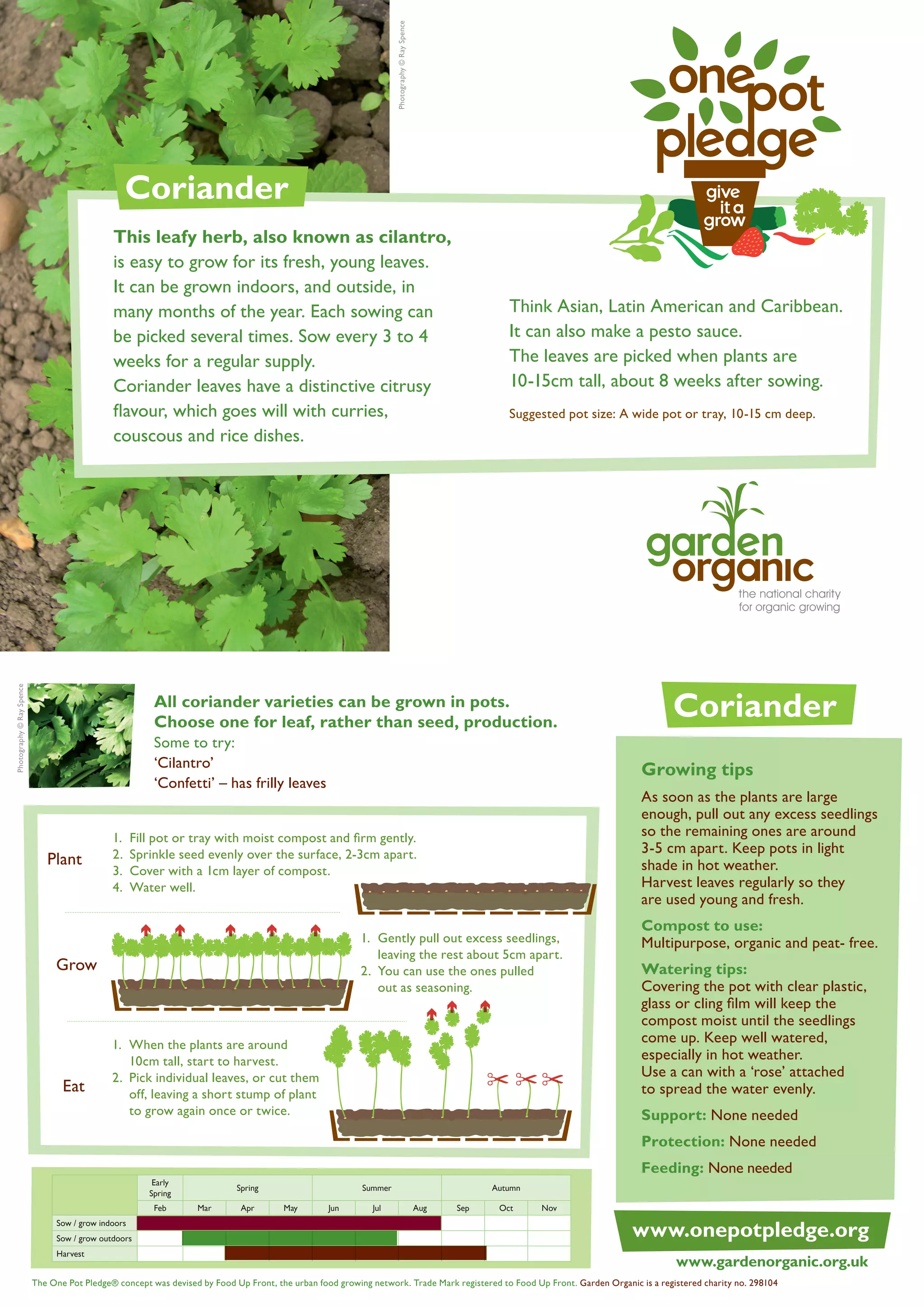 Growing Coriander in a Pot - Teacher Guide, Organic Gardening | PDF
