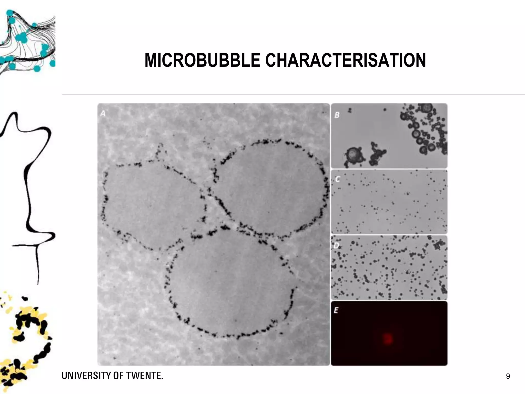 Ultrasound mediated release of contrast agent loaded microbubbles | PPTX